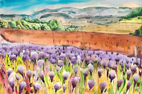 Michael Robson – Sproson Gallery & Framer St Andrews