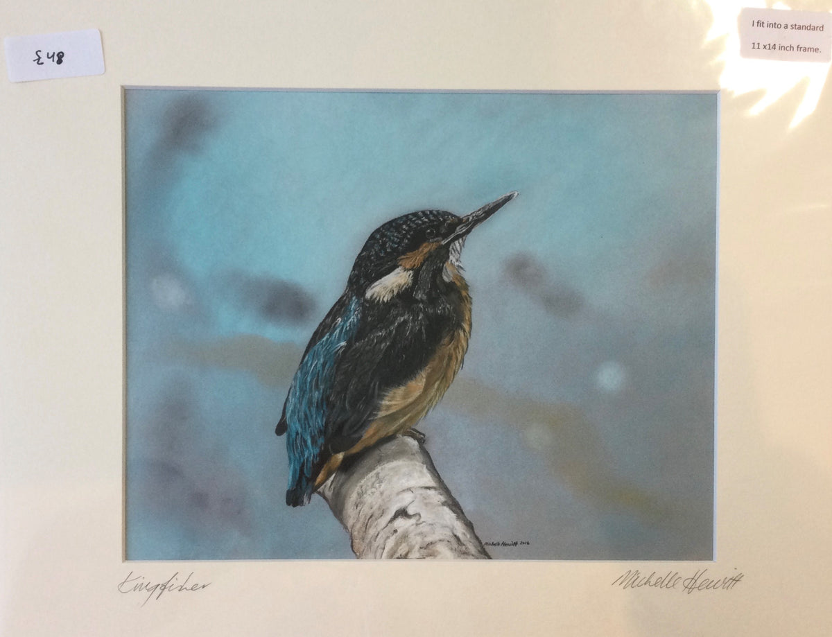 Michelle Hewitt 'Kingfisher' – Sproson Gallery & Framer St Andrews