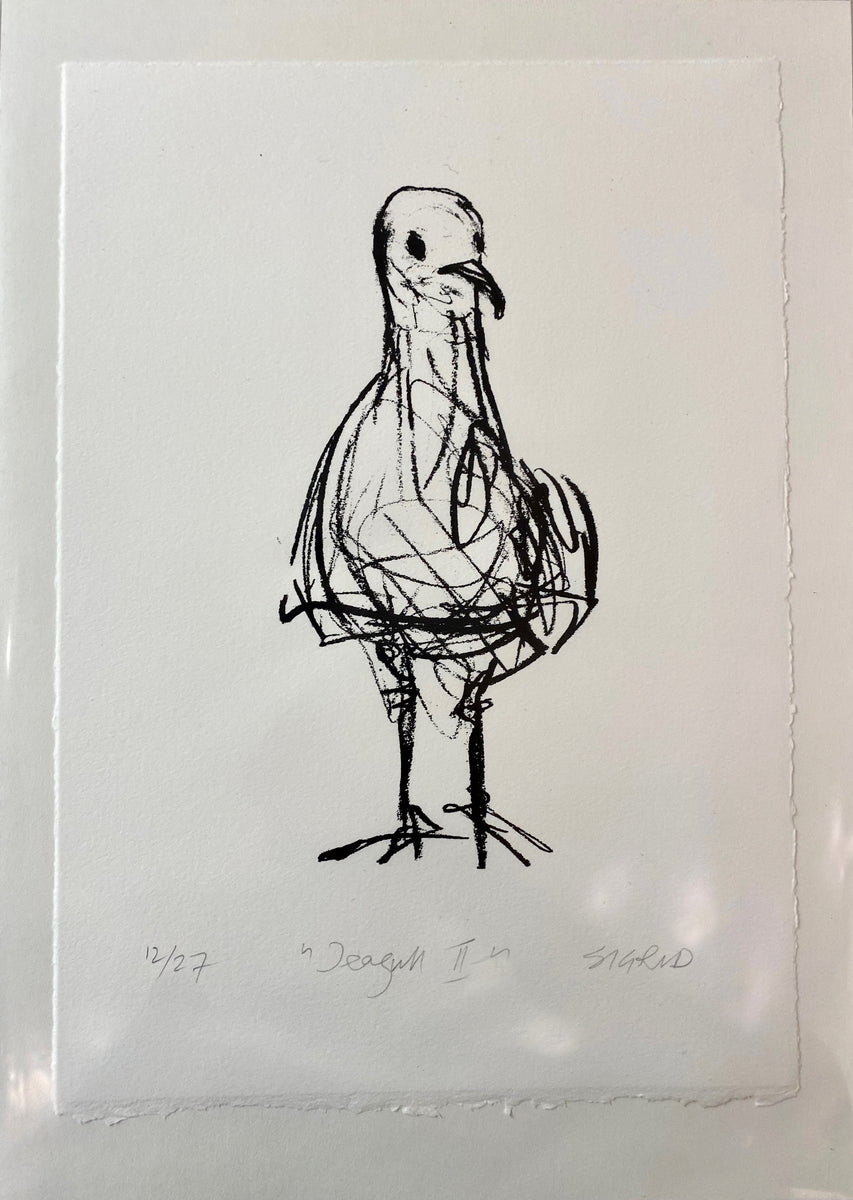 Sigrid Shone 'Seagull II' – Sproson Gallery & Framer St Andrews